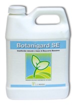 BOTANIGARD SE, UNA DIFESA NATURALE CONTRO ALEURODIDI E TRIPIDI - Difesa ...