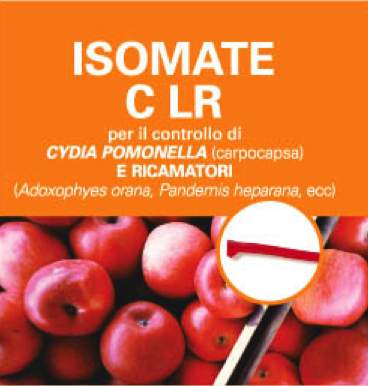 Isomate C LR, per il controllo di Cydia pomonella e ricamatori - Difesa ...