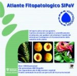 IN CD ROM L'ATLANTE FITOPATOLOGICO-SIPAV - Economia e politica ...