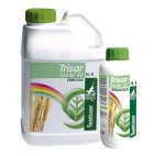 TRISAR COMBI, L'EFFICACIA NEL DISERBO PRE-EMERGENZA - Difesa e diserbo ...