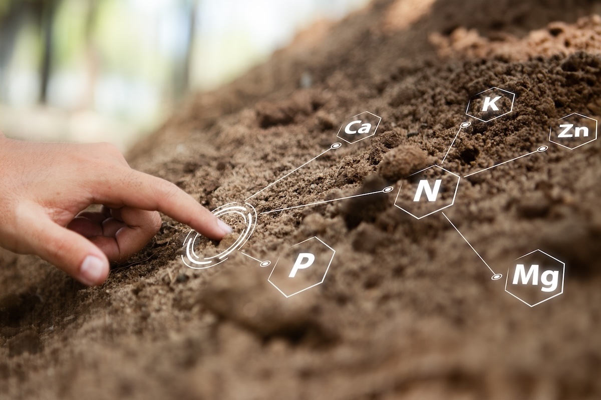 Fertilizzanti, prende forma il Piano Ue - Fertilizzazione - AgroNotizie